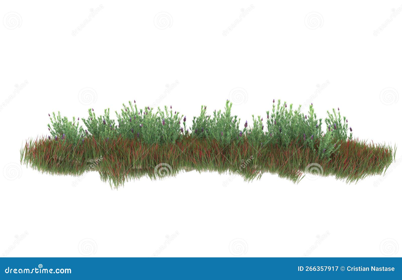 Realistic Grass Isolated on Background. 3d Rendering - Illustration ...
