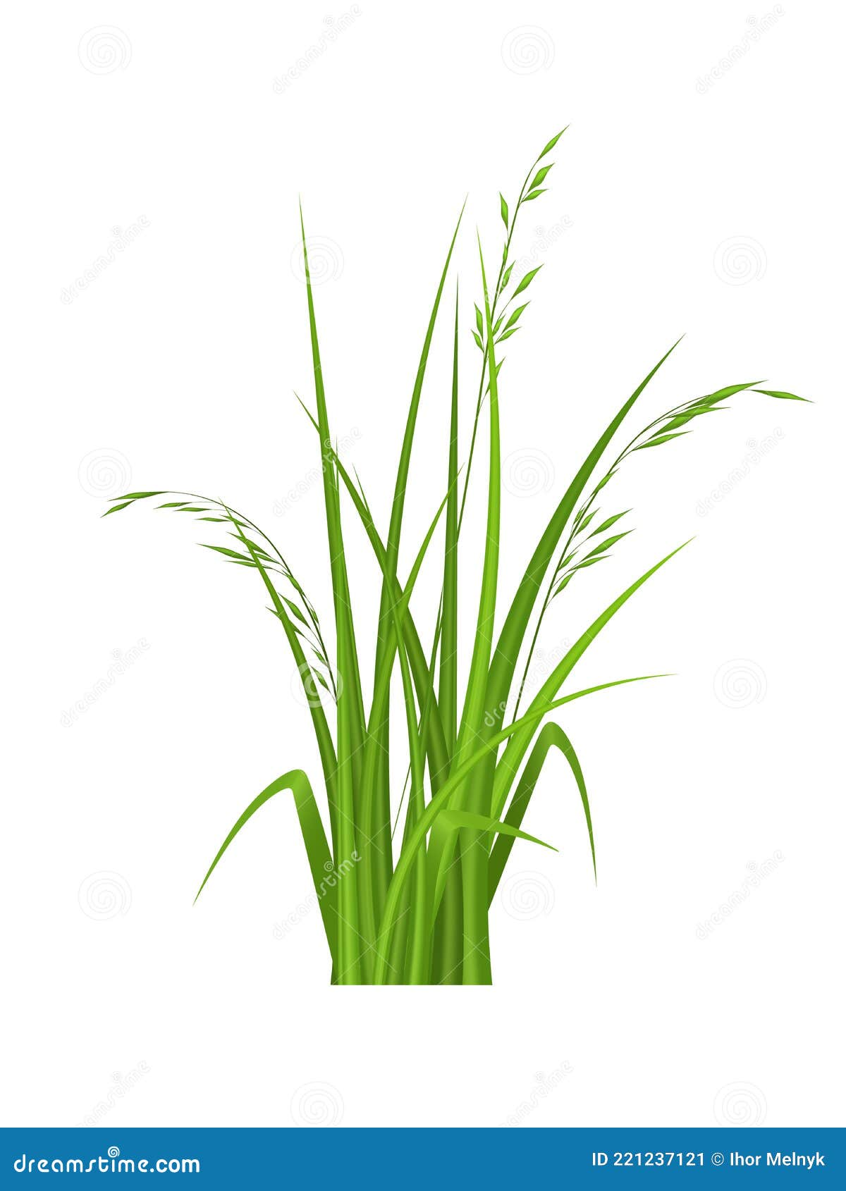 Realistic grass vector stock vector. Illustration of realistic - 221237121