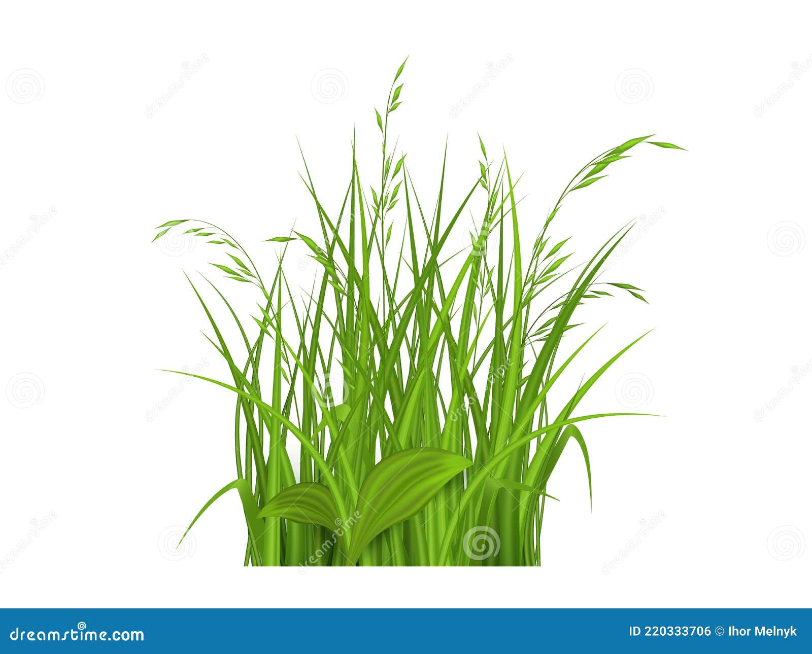 Realistic grass vector stock vector. Illustration of landscape - 220333706