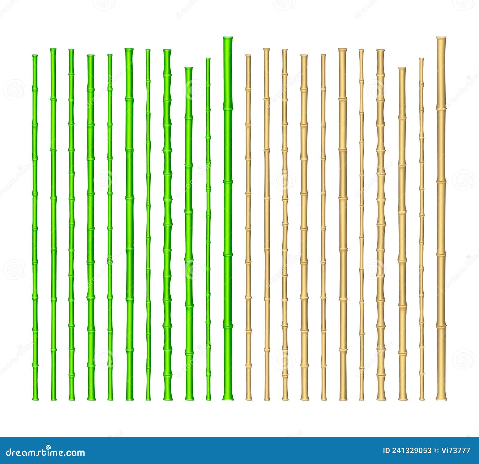 Realistic Green and Brown Bamboo Sticks Set. Vector Illustration. Stock ...