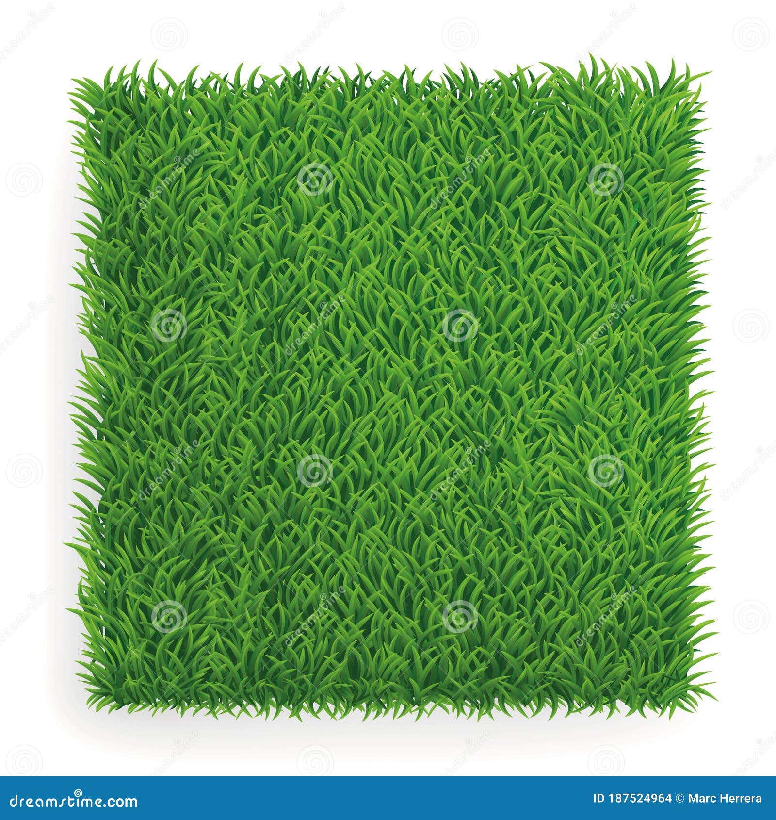 Realistic Green Grass Texture Design Stock Vector - Illustration of ...