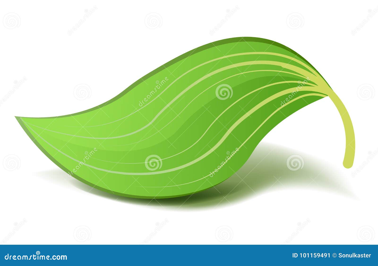 Realistic Green Leaf. Vector Illustration Isolated Stock Vector ...