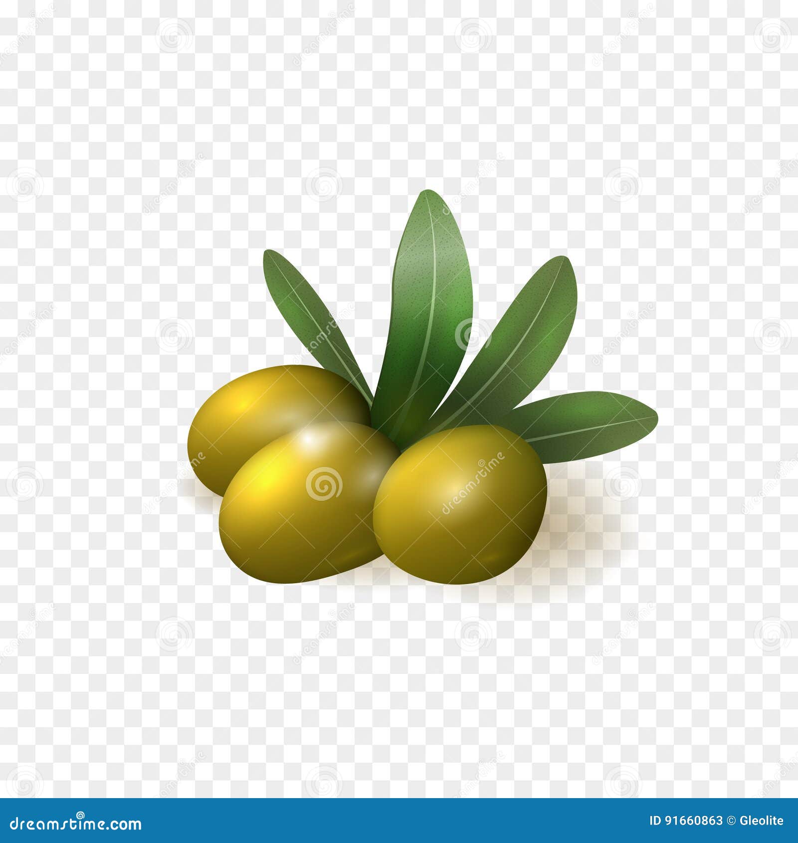 Realistic Green Olives with Leaves on Transparent Background Stock ...
