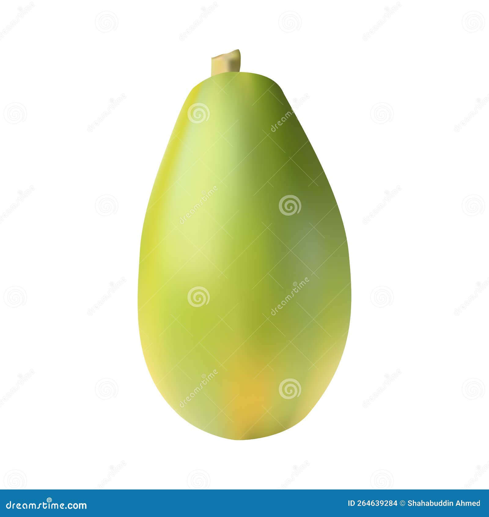 Realistic Green Papaya Vector Design Stock Vector - Illustration of ...