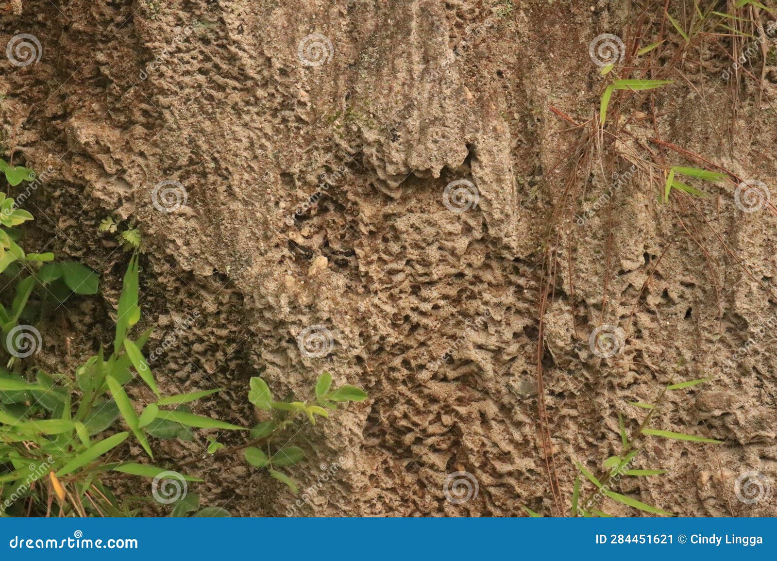 Realistic Ground Texture Seamless Stock Image - Image of seamless, soil ...