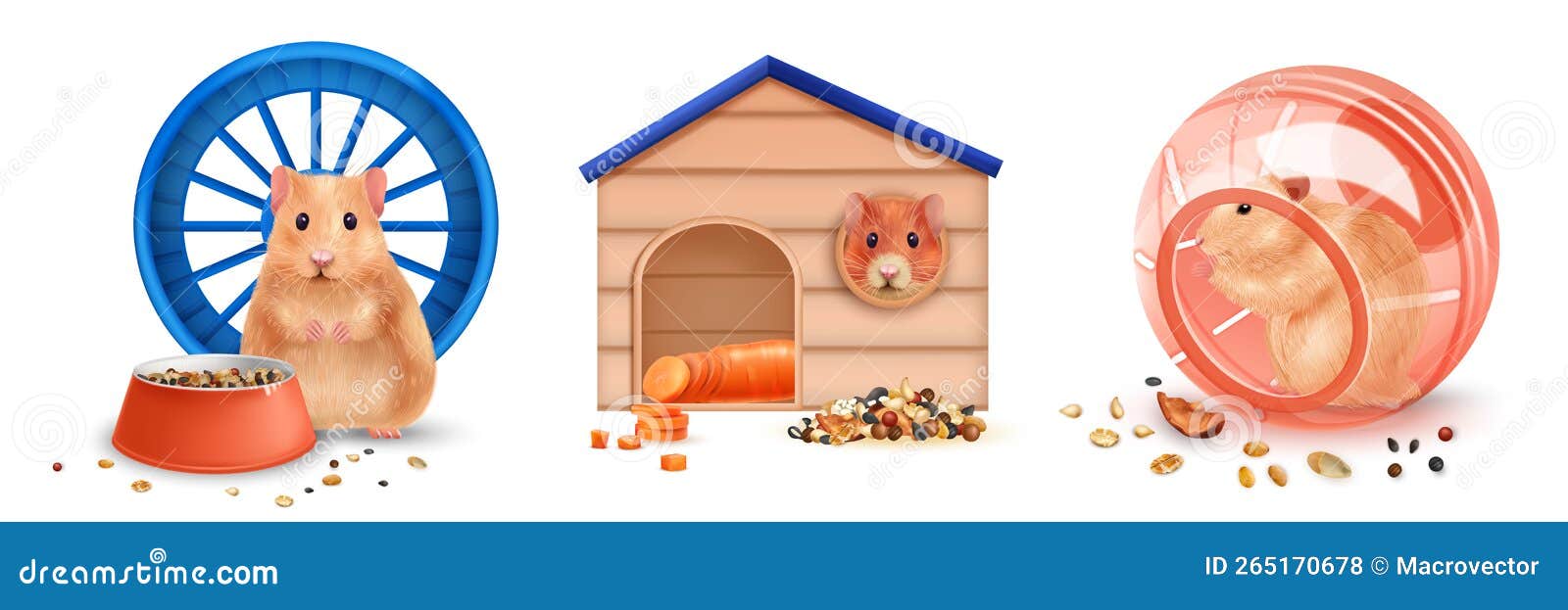 Realistic Hamster Compositions Stock Vector - Illustration of animal ...