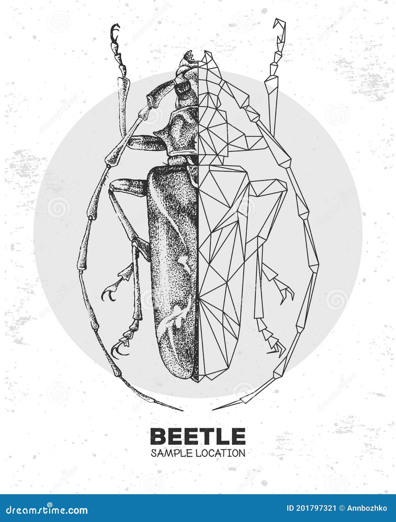 Realistic Hand Drawing and Polygonal Longhorn Beetle. Artistic Bug ...