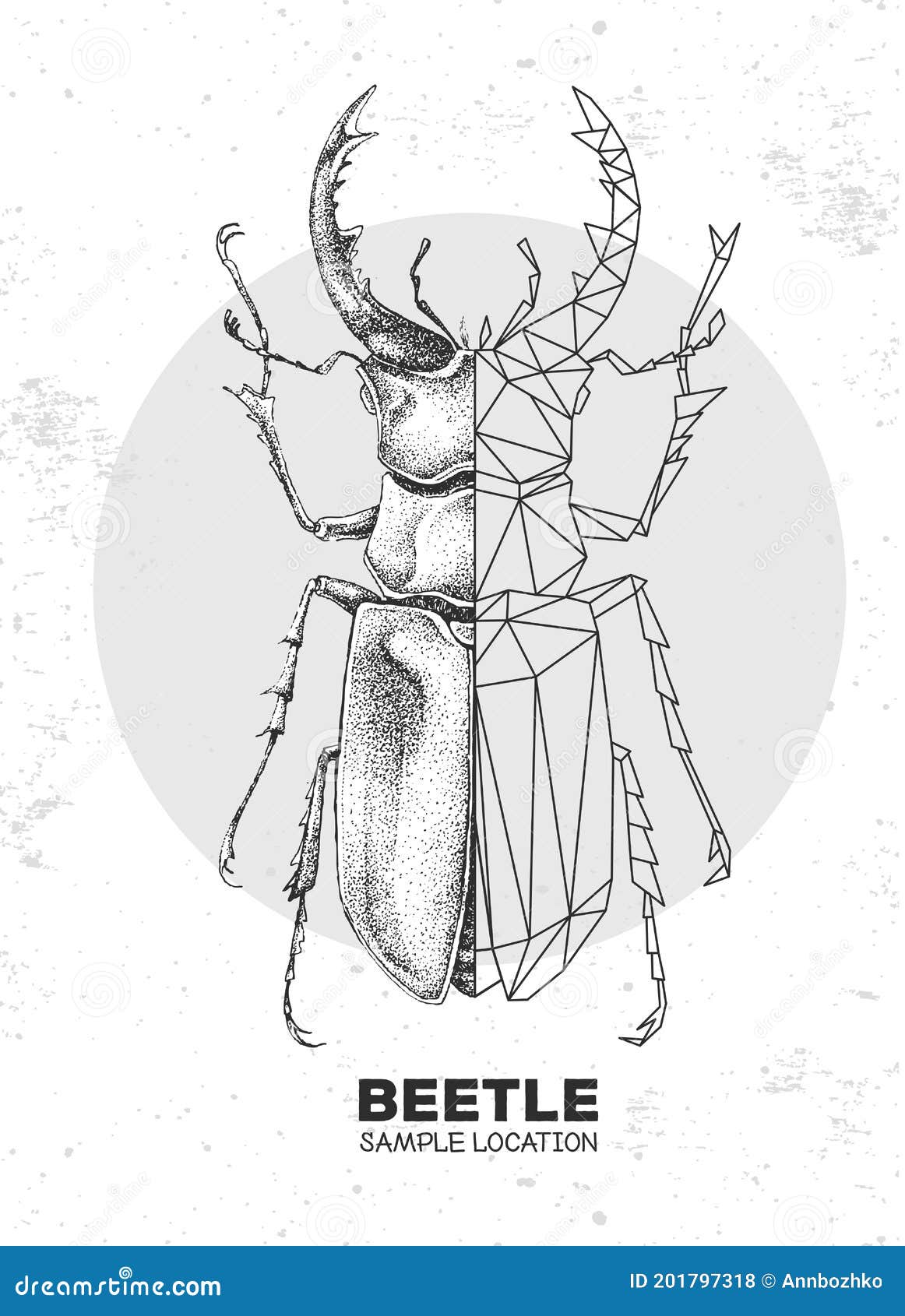 Realistic Hand Drawing and Polygonal Stag Beetle. Artistic Bug ...