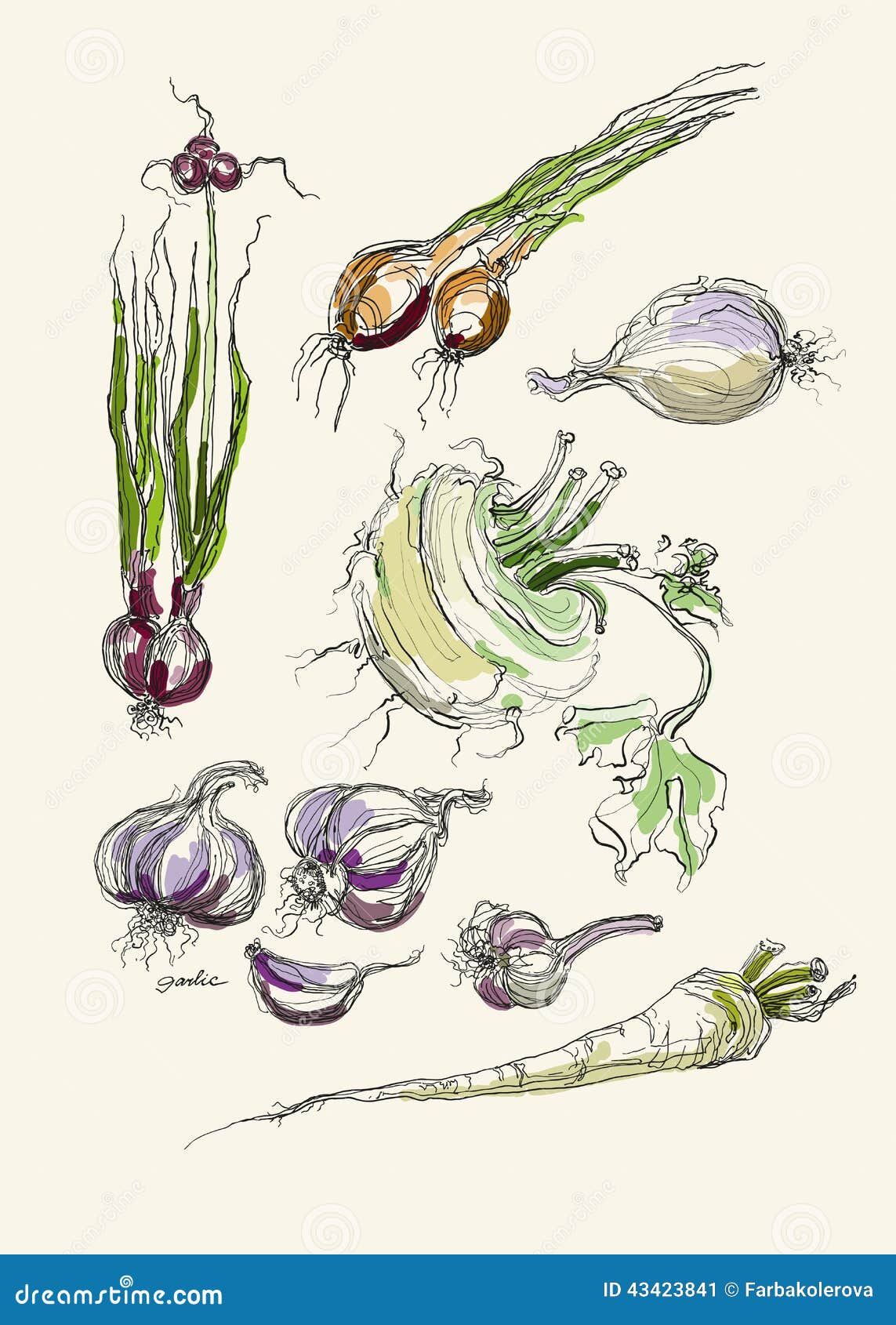 Realistic Hand Drawing Set of Vegetables Stock Illustration ...