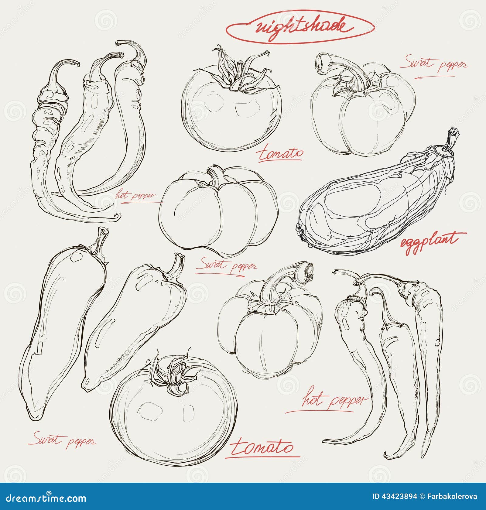 Realistic Hand Drawing Set of Vegetables Stock Illustration ...