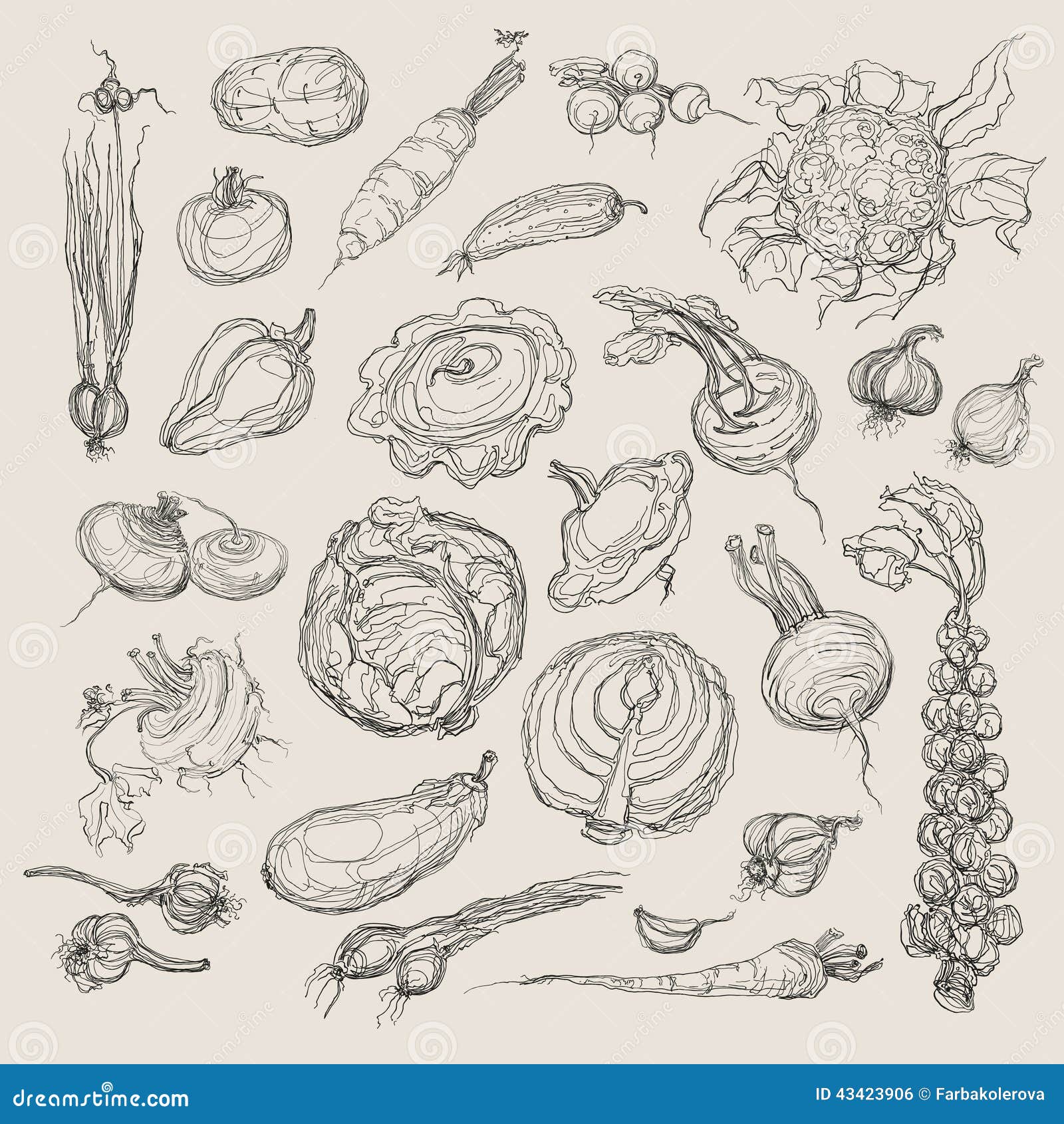 Realistic Hand Drawing Set of Vegetables Stock Illustration ...