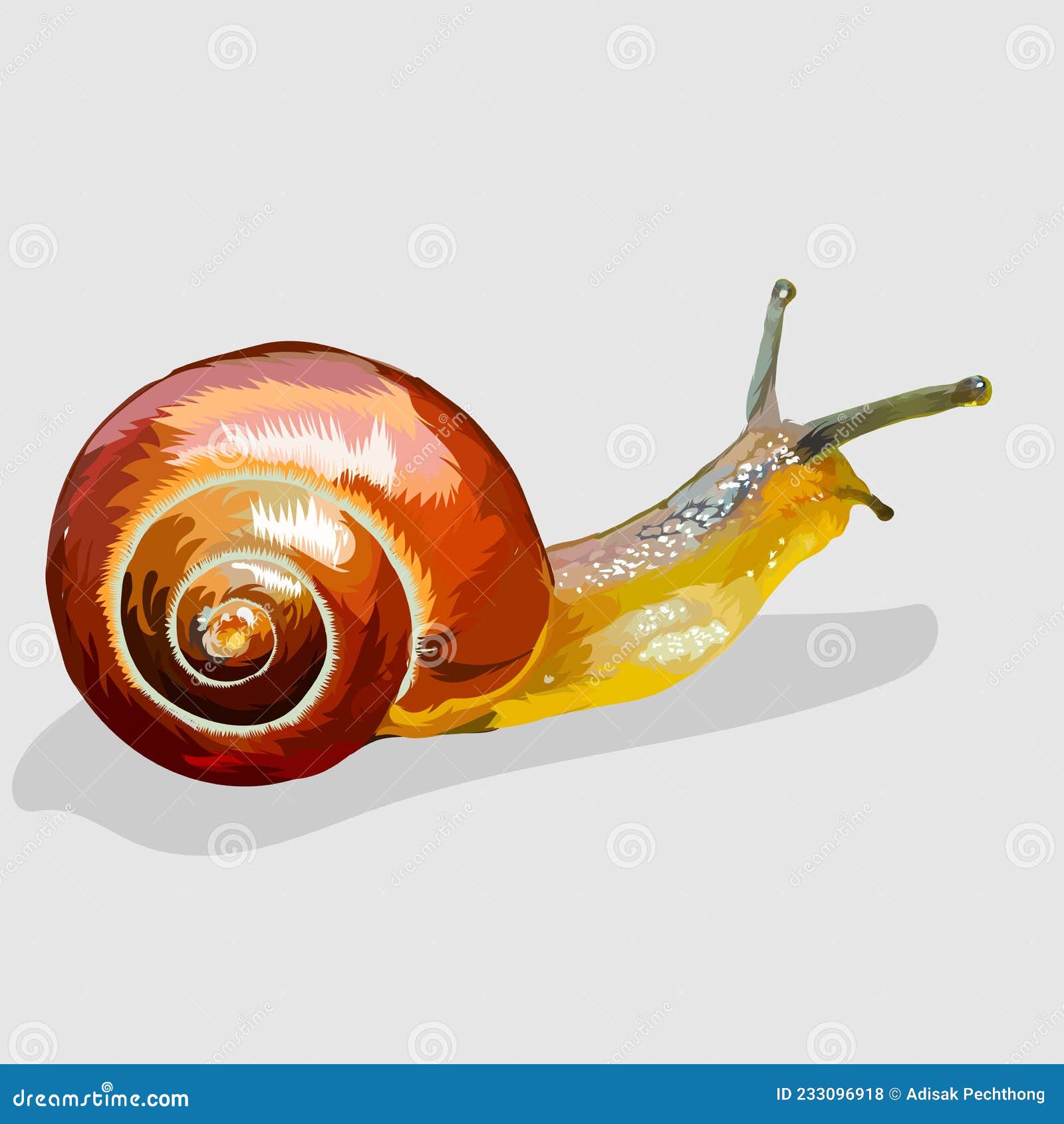 Snail Realistic Hand Drawn Vector and Illustrations White Background ...