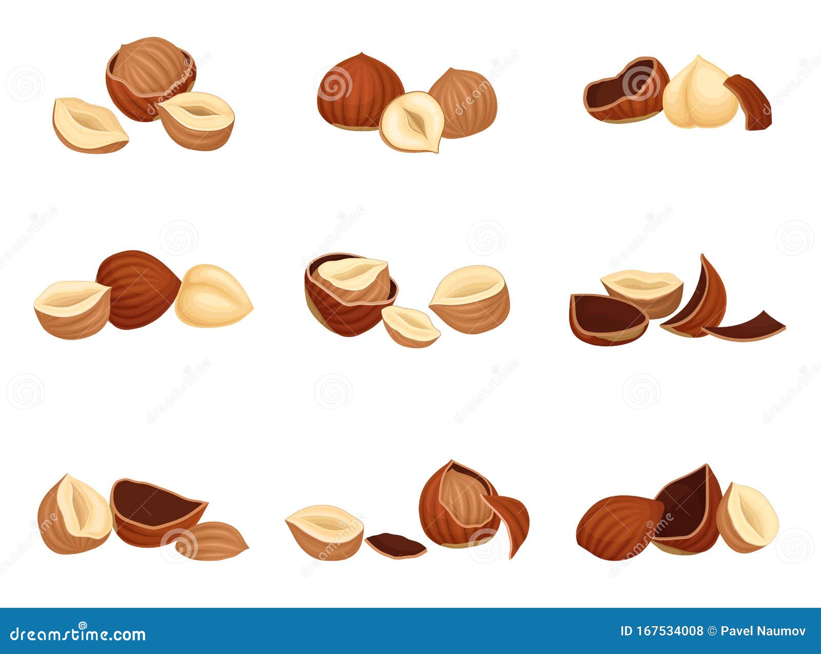 Realistic Hazelnuts Vector Set. Whole and Chopped into Halves Nut ...