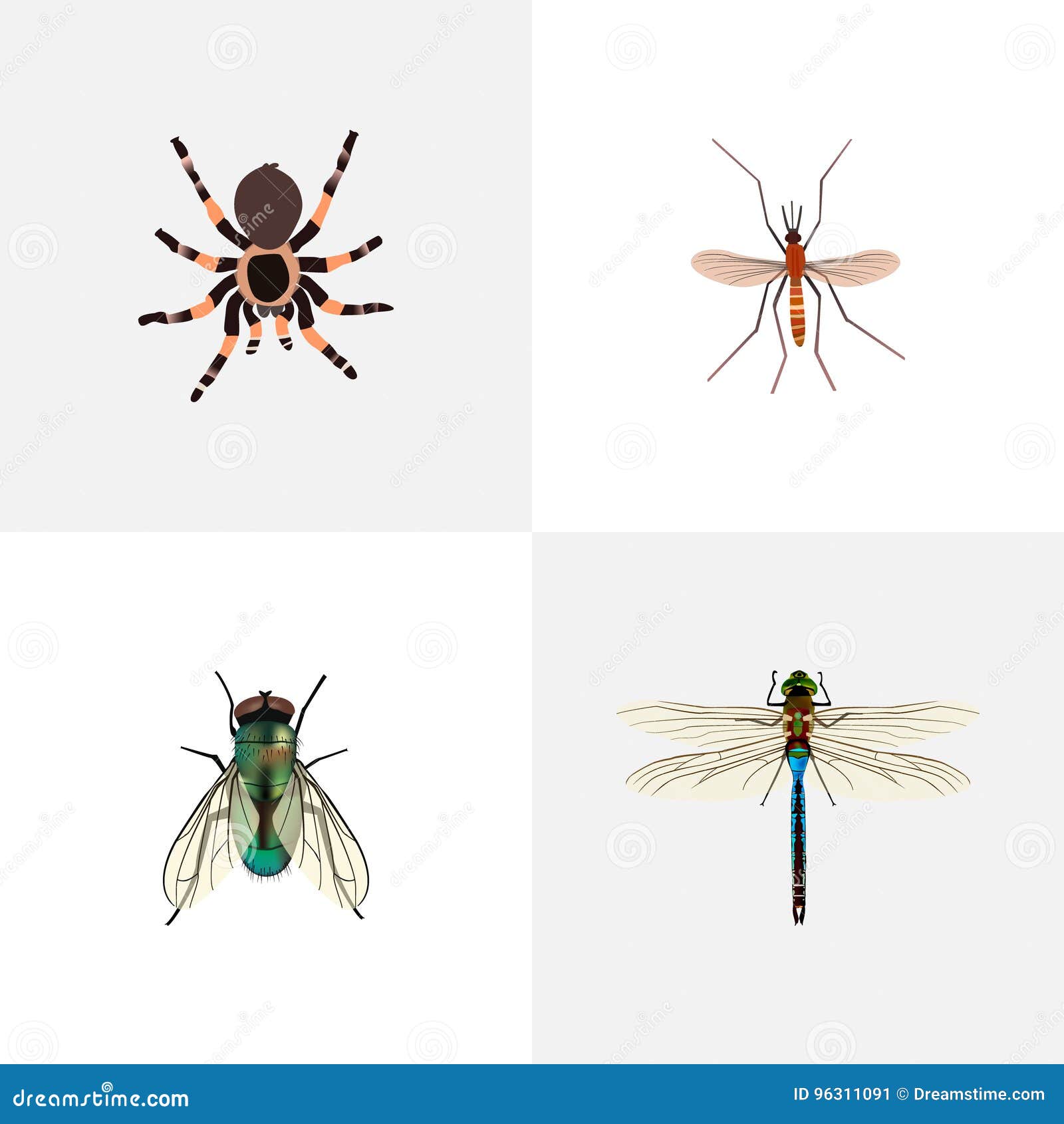 Gnats Clipart