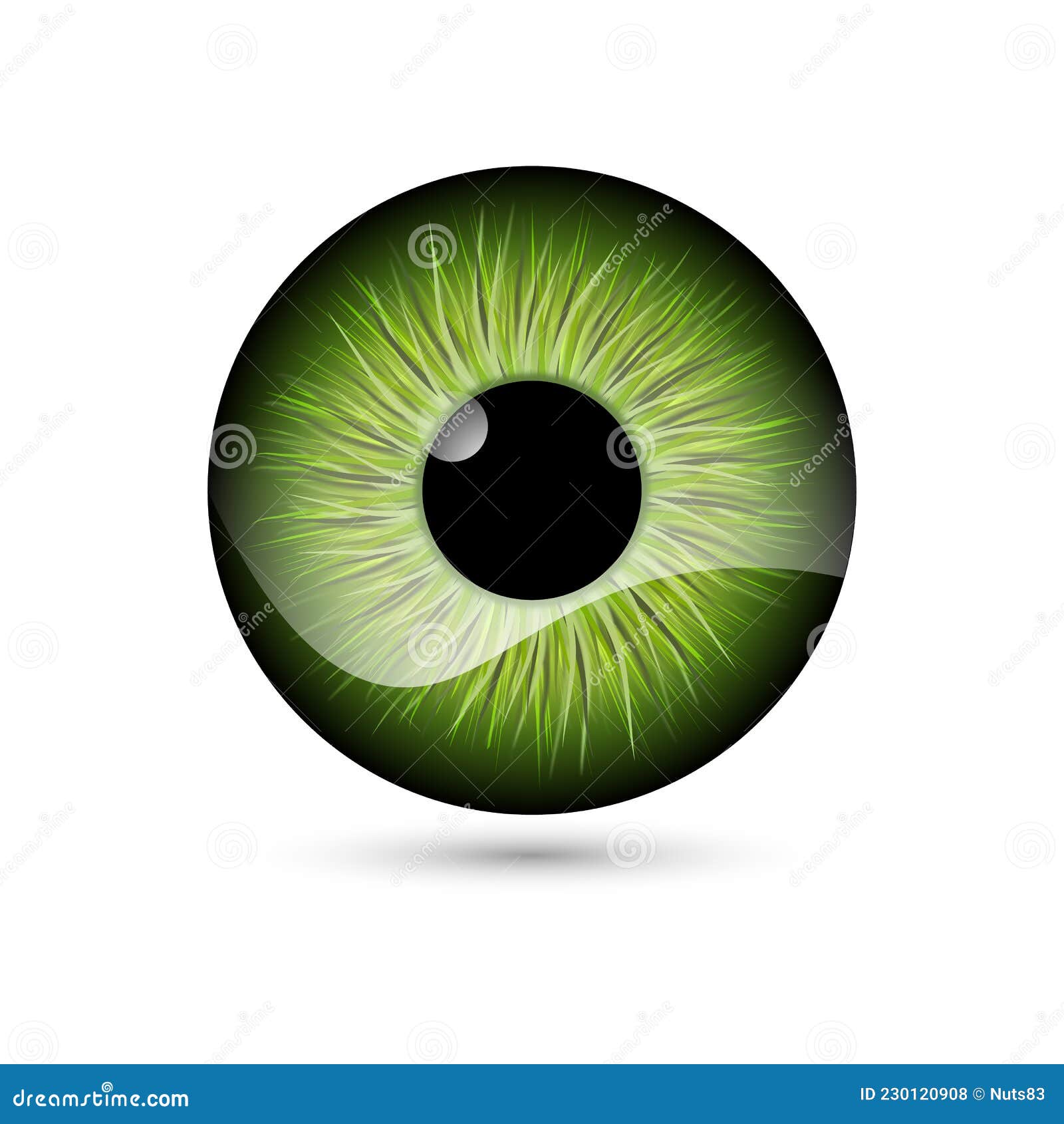 Realistic human green eye stock illustration. Illustration of ball ...
