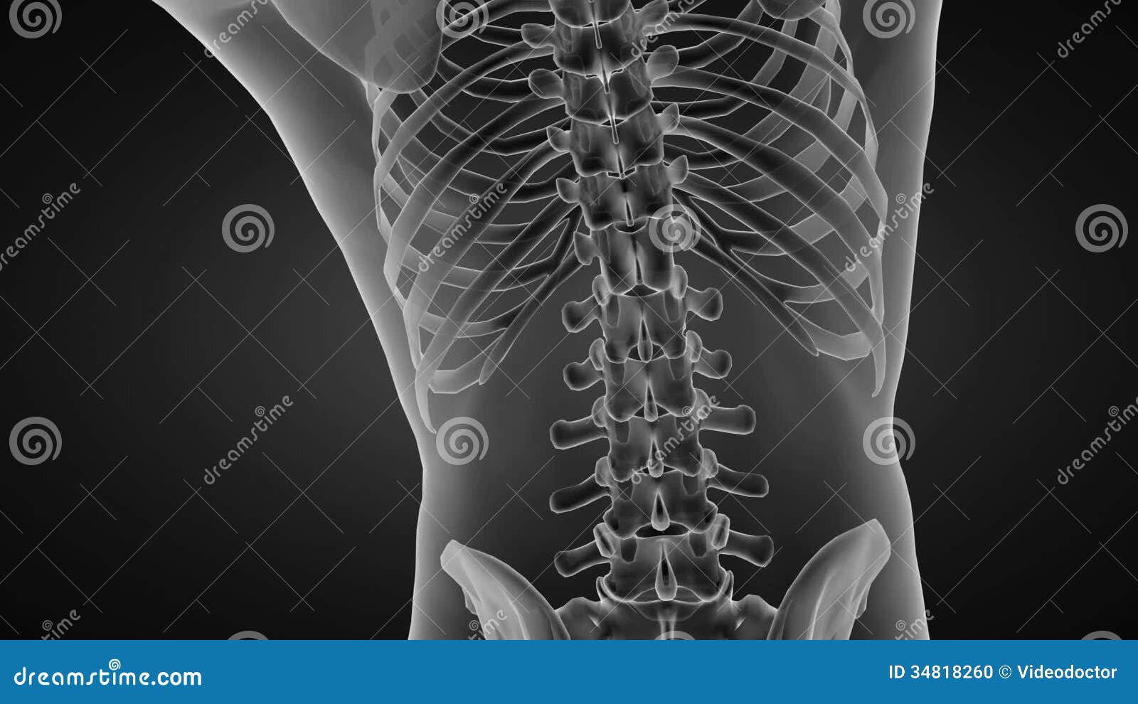 Realistic Human Bones Radiography Scan Stock Video Footage - Video of ...