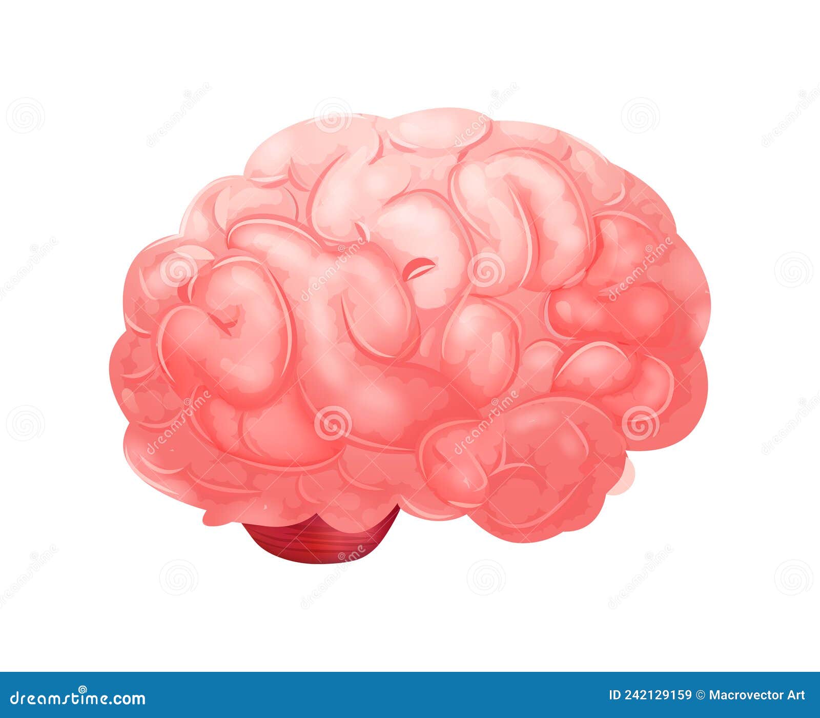 Realistic Human Brain Composition Stock Vector - Illustration of ...