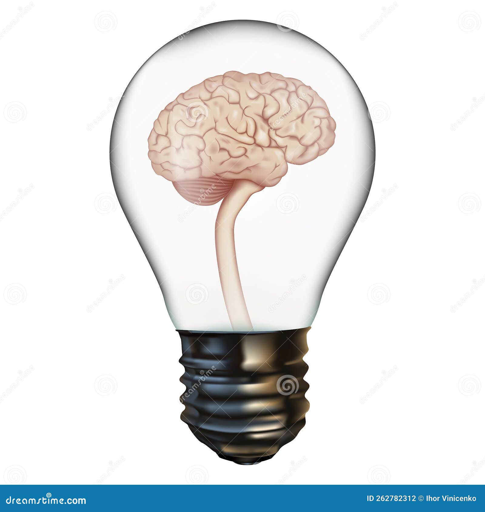 Realistic Human Brain in a Light Bulb. Stock Vector - Illustration of ...