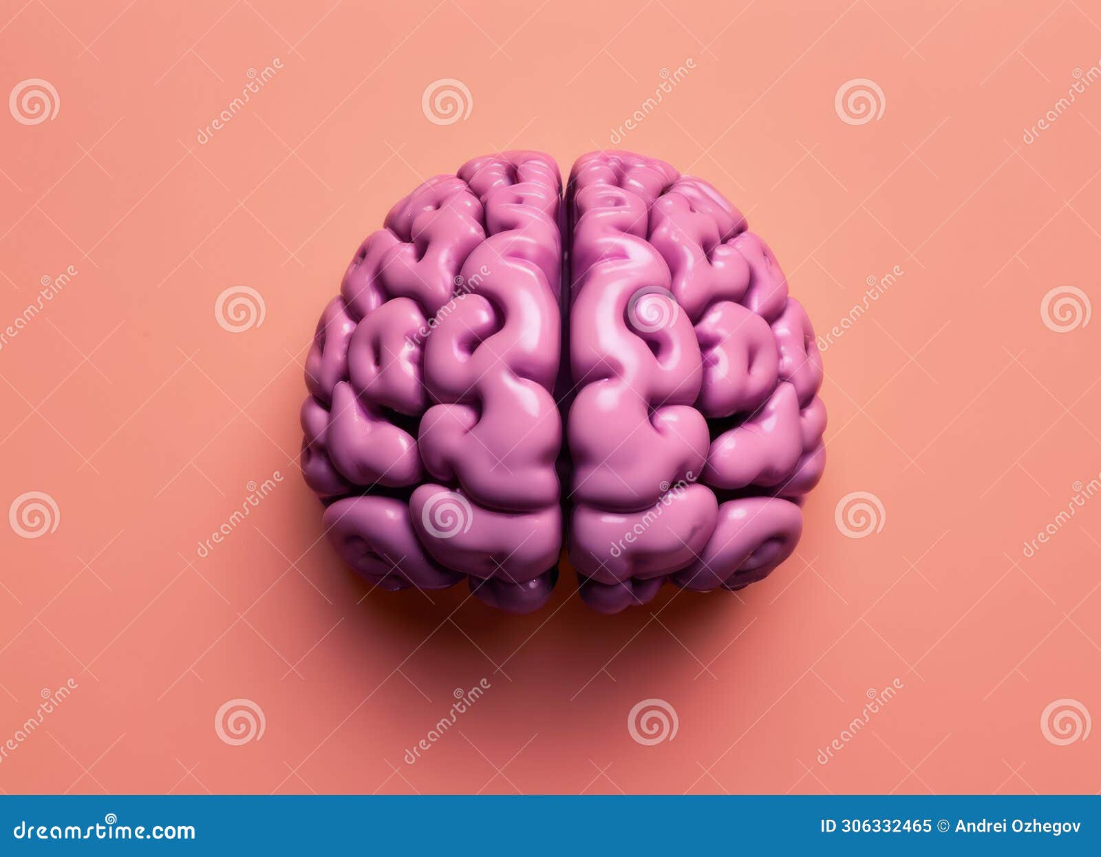 Realistic Human Brain Model with Mechanical Component Stock Image ...