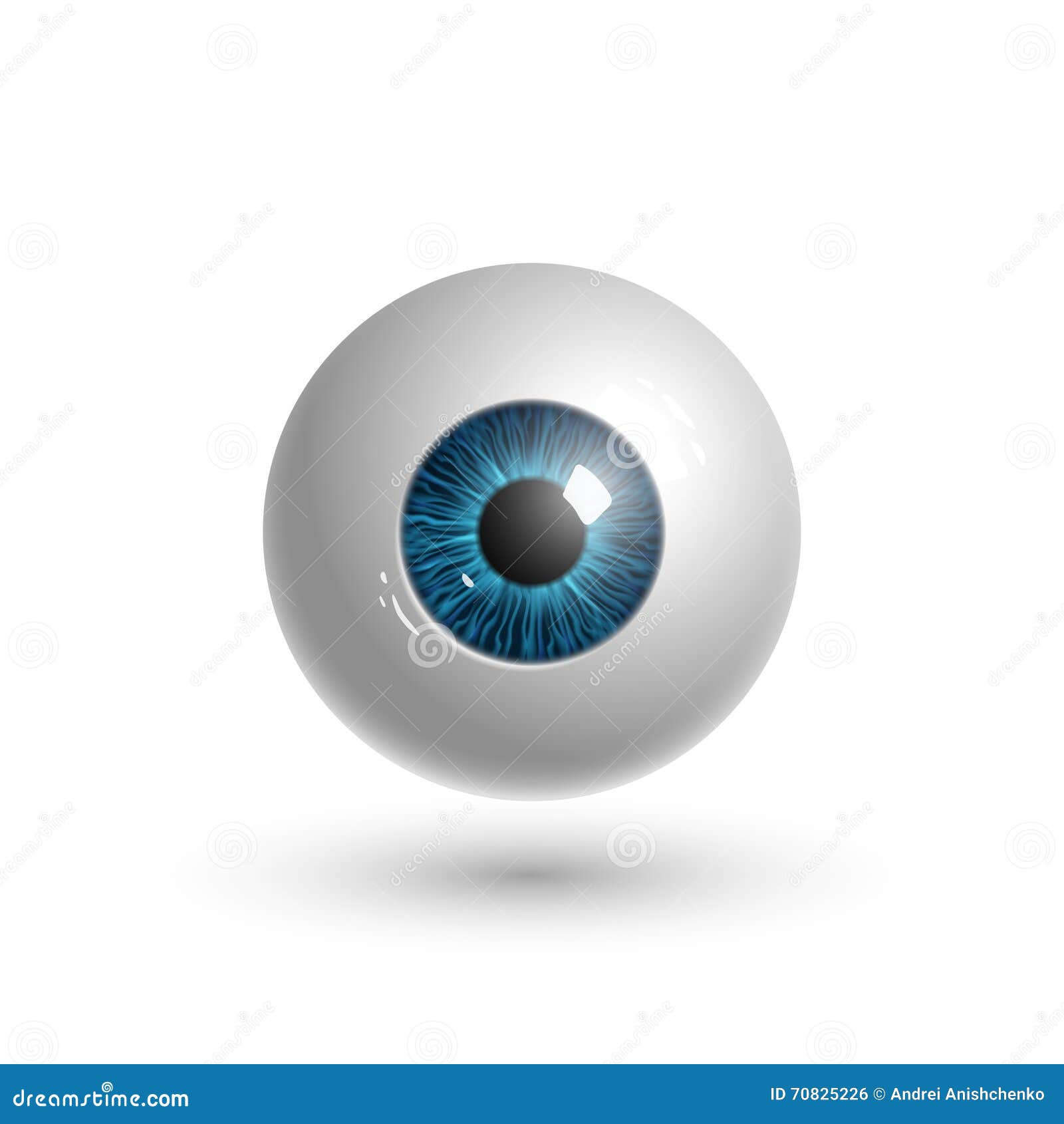 Realistic human eyeball stock vector. Image of design - 70825226