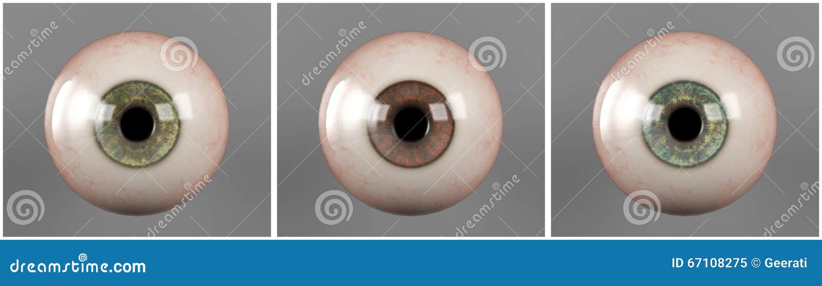 Realistic Human Eyeballs Iris Pupil Stock Image - Image of green ...