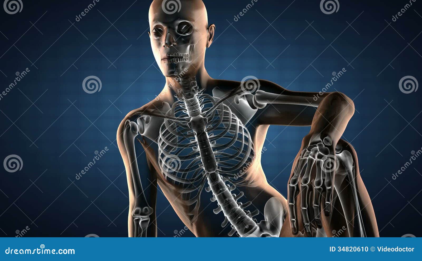 Realistic Human Seating Radiography Scan Stock Footage - Video of human ...