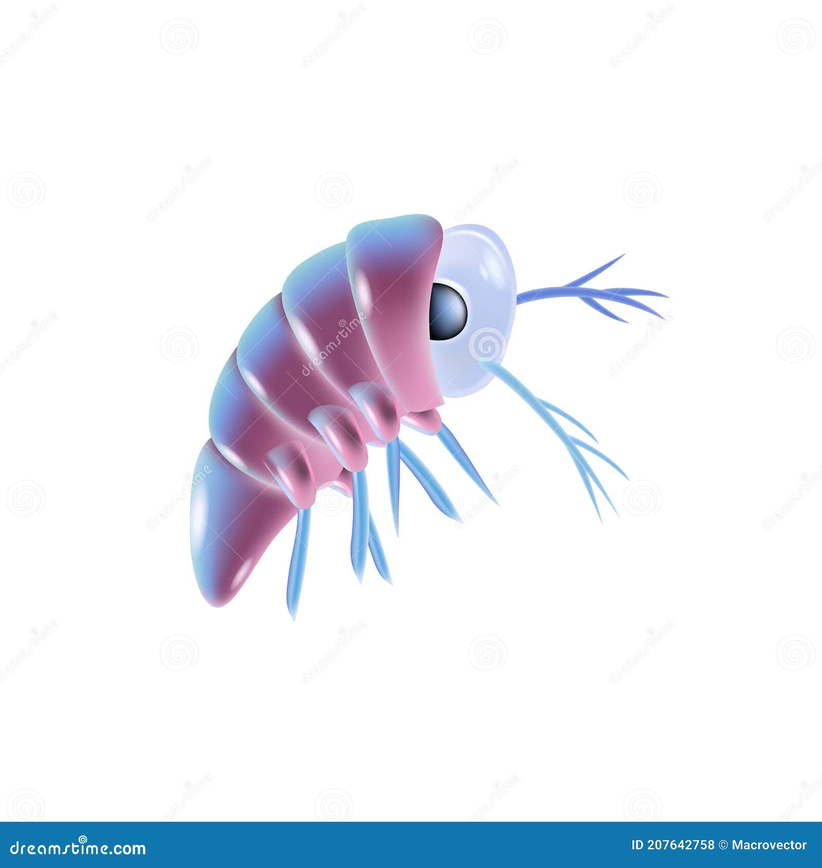 Rotifers Cartoons, Illustrations & Vector Stock Images - 30 Pictures to ...