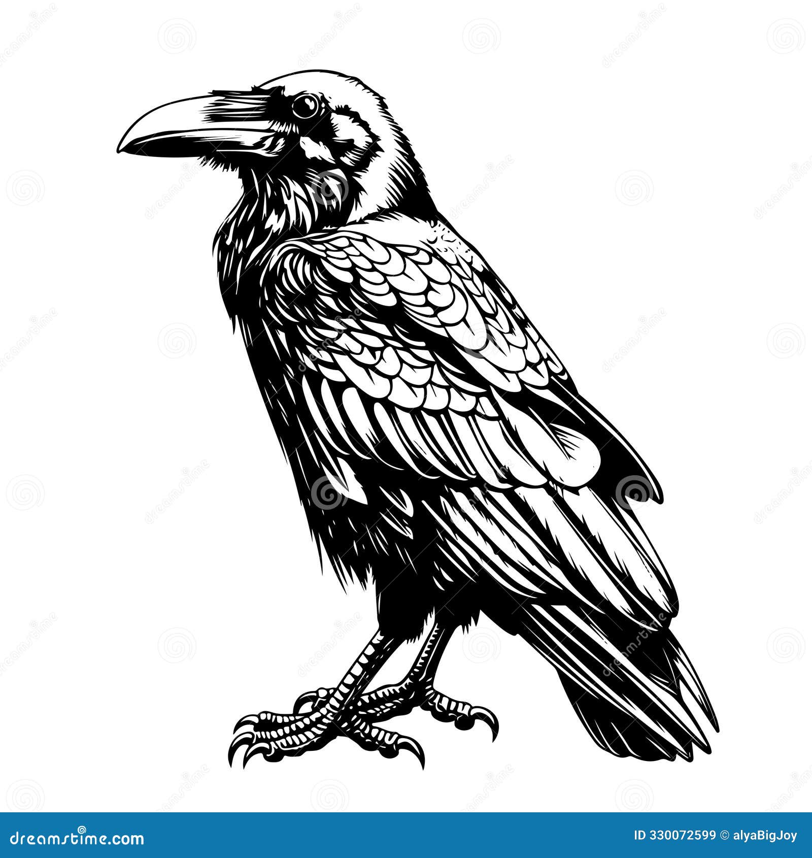 Realistic Illustration of a Crow, Hand Drawn. Stock Illustration ...