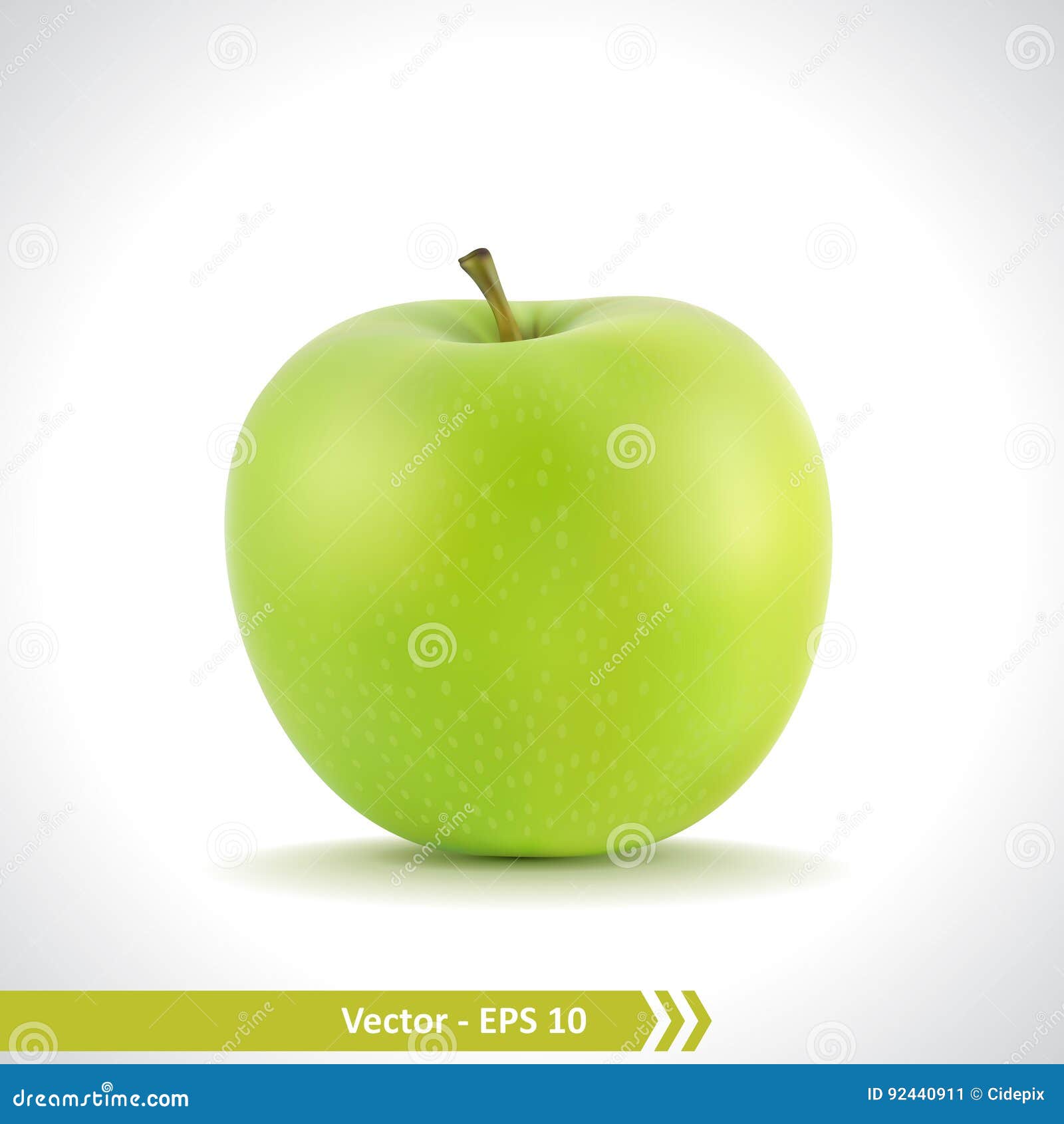 Realistic Illustration of a Green Apple Stock Vector - Illustration of ...