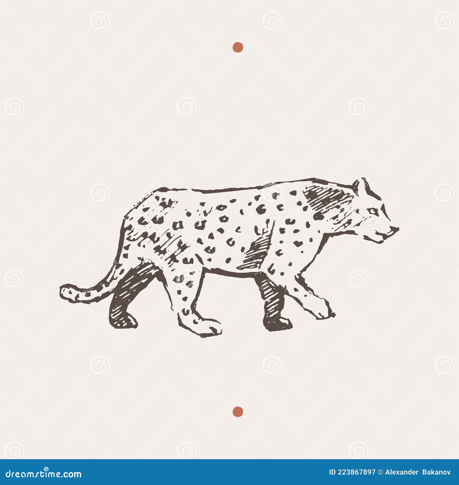 Realistic Illustration of Leopard. Drawn a Vector Stock Vector ...