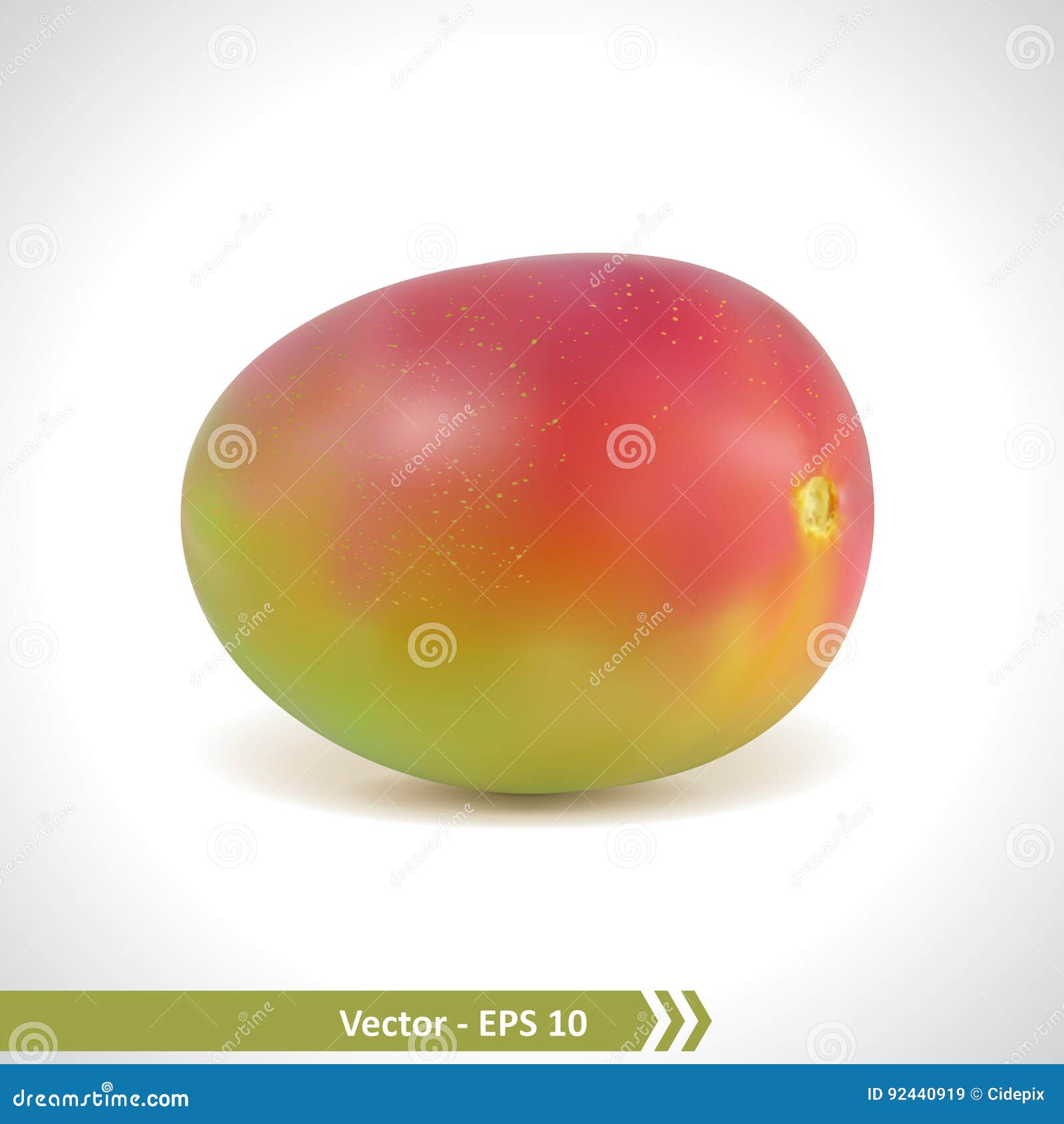 Realistic Illustration of a Mango Fruit Stock Vector - Illustration of ...