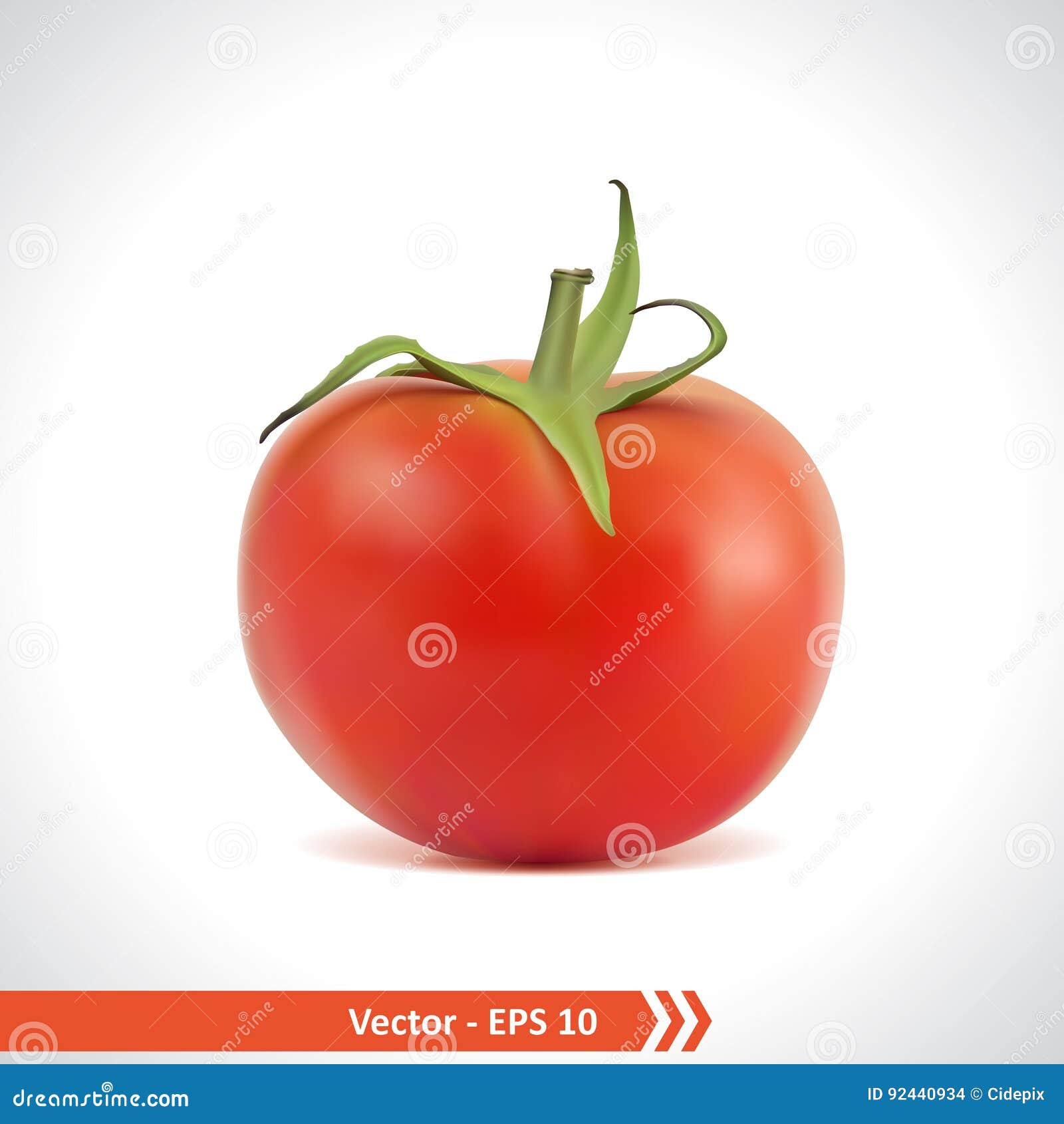 Realistic Illustration of a Red Tomato Stock Vector - Illustration of ...