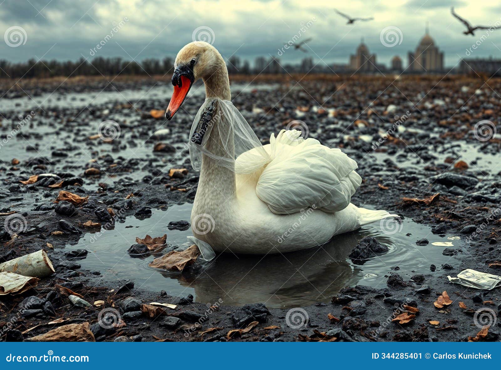 Realistic Image of a Swan in a Polluted Environment, Symbolizing the ...