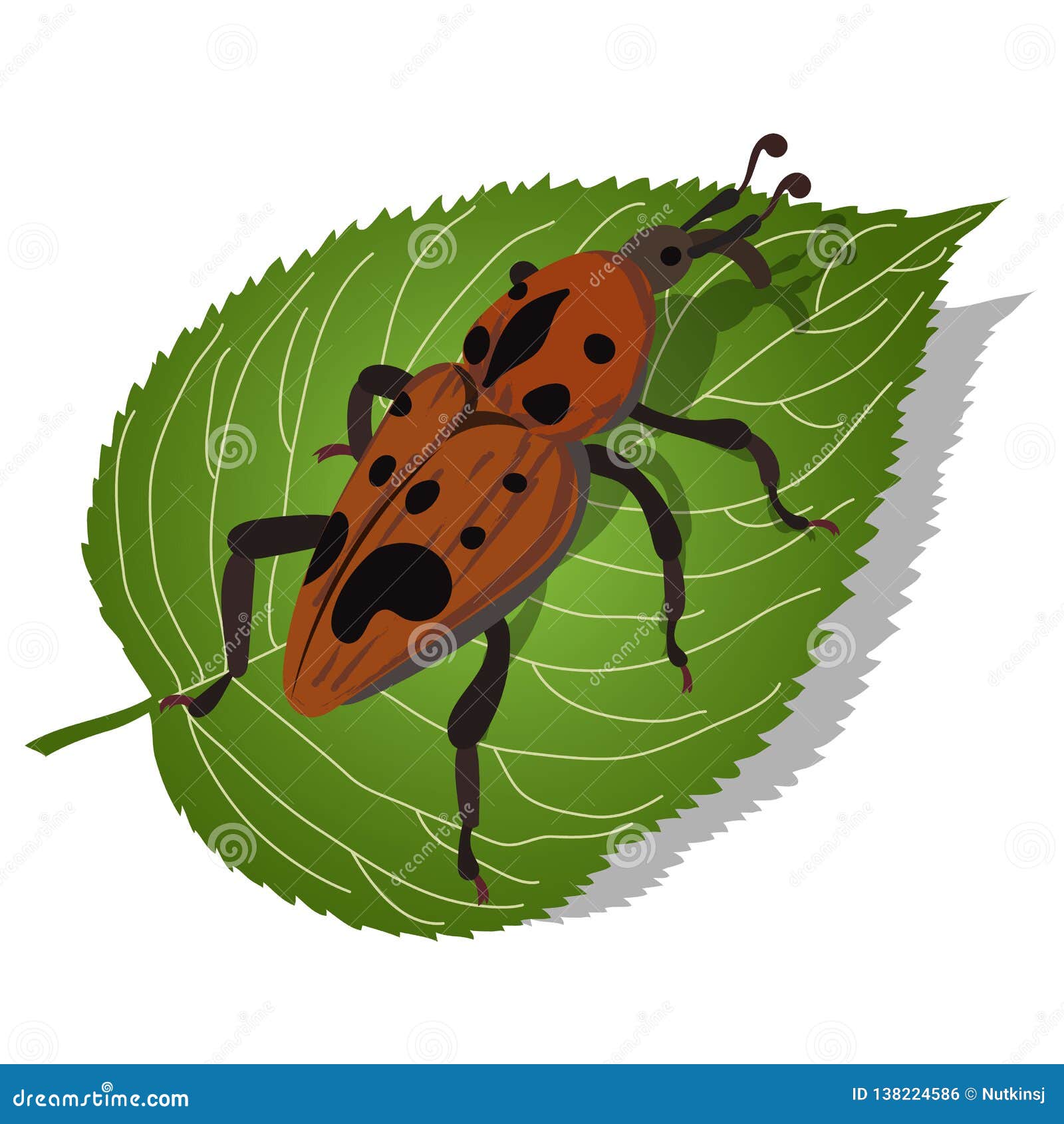 Orange Weevil stock vector. Illustration of insect, rare - 138224586