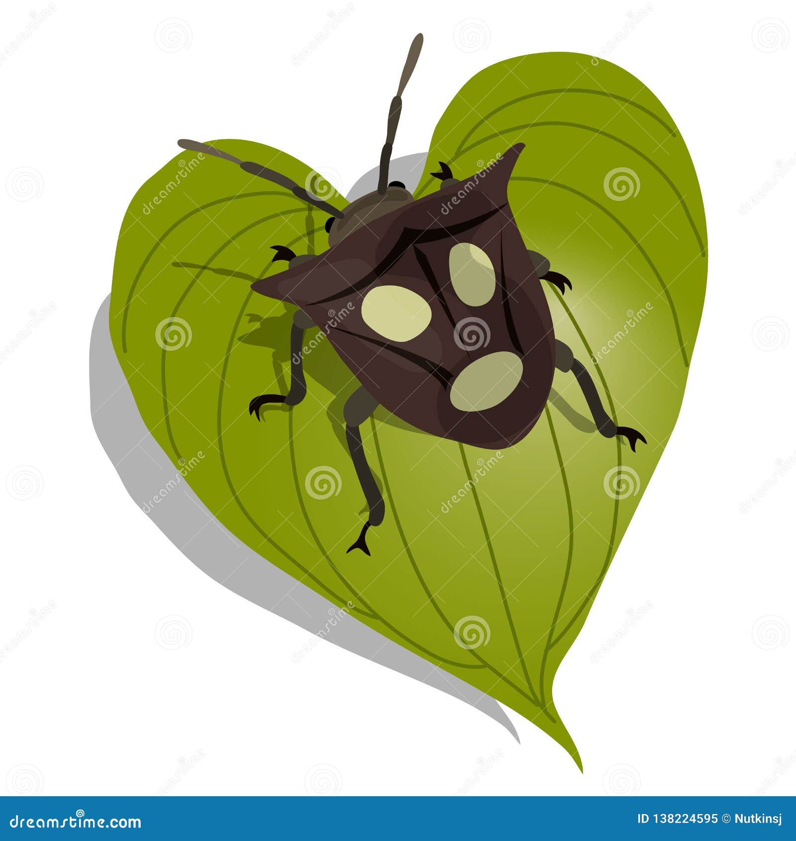 Shield Bug with Man Face stock vector. Illustration of insect - 138224595