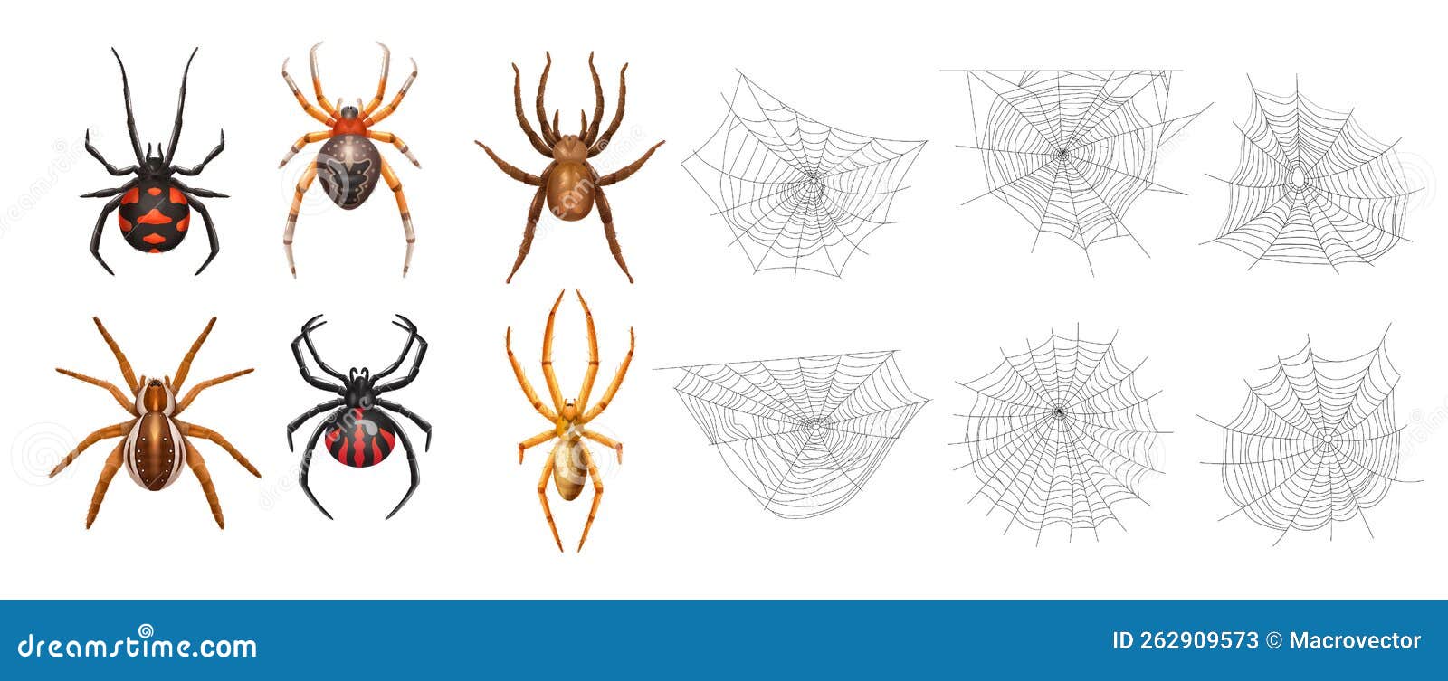 Realistic Spider Web Icon Set Stock Vector - Illustration of horror ...