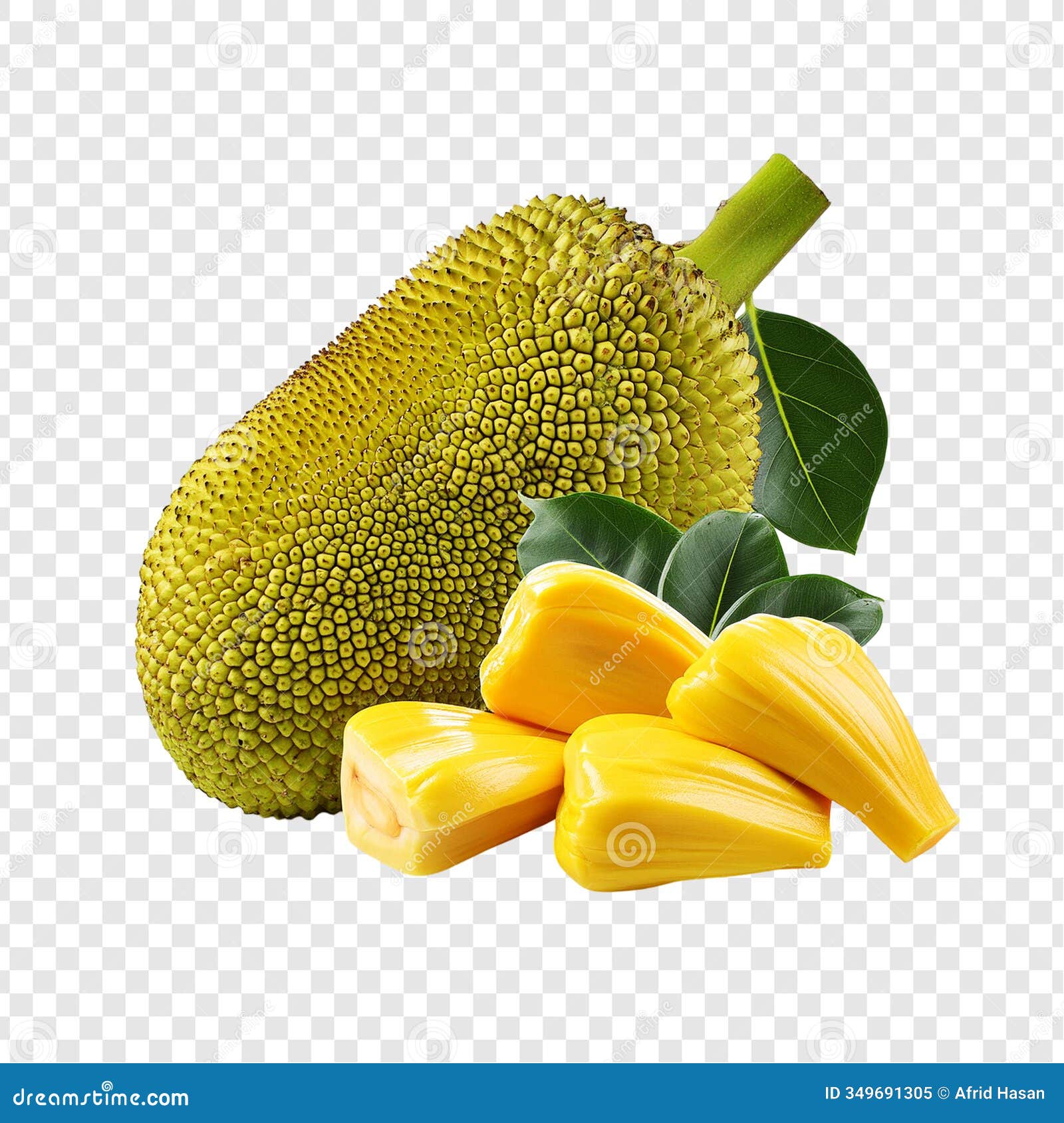 Realistic Jackfruit with Slice on Transparent Background Stock Image ...