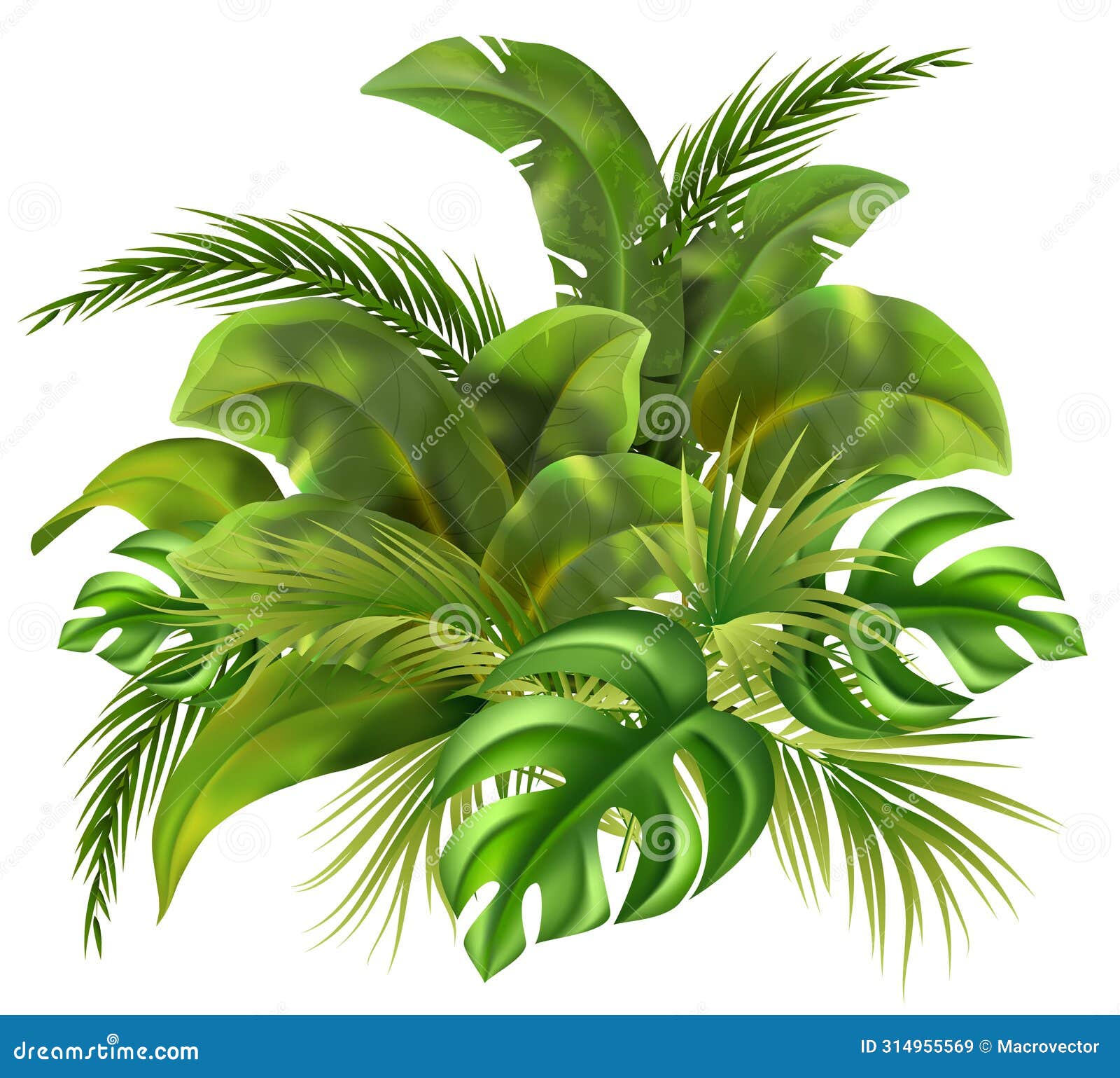Realistic Jungle Round Frame Background Royalty-Free Stock Photo ...