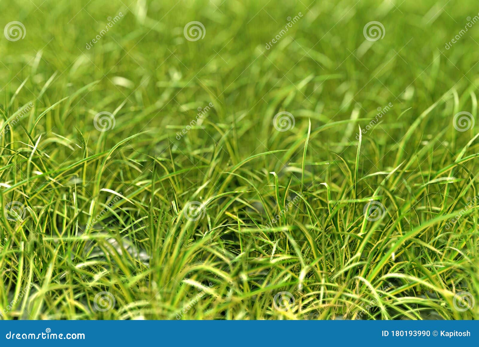 Realistic Lawn with Green Grass Render 3d Stock Illustration ...