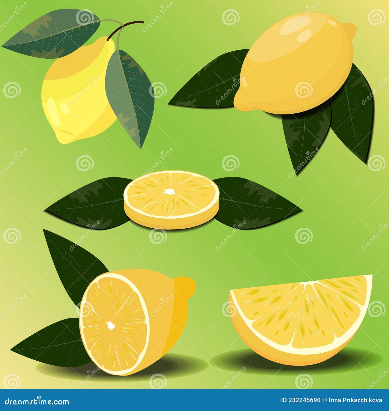 Realistic Lemon in Different Angles on a Green Background. Vector Set ...