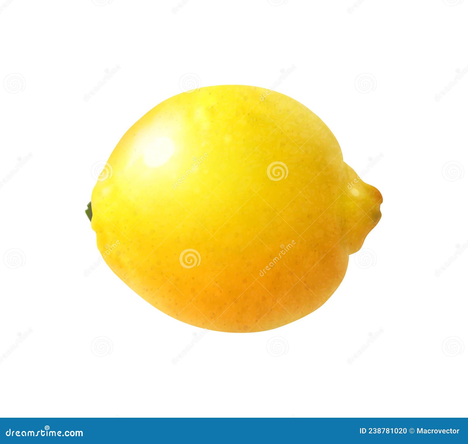 Realistic Lemon Illustration Stock Vector - Illustration of decorative ...