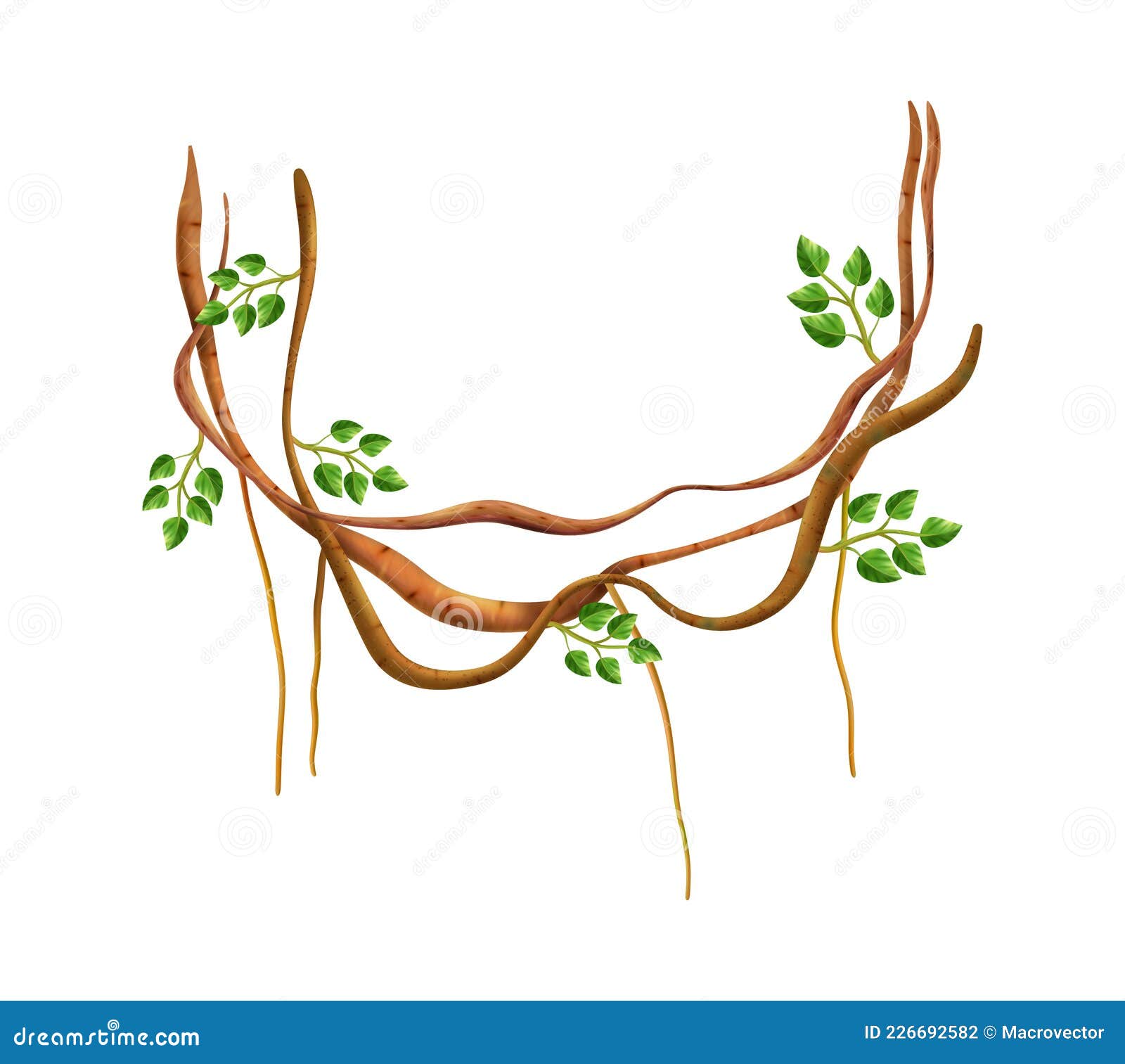 Realistic Liana Illustration Stock Vector - Illustration of leaves ...