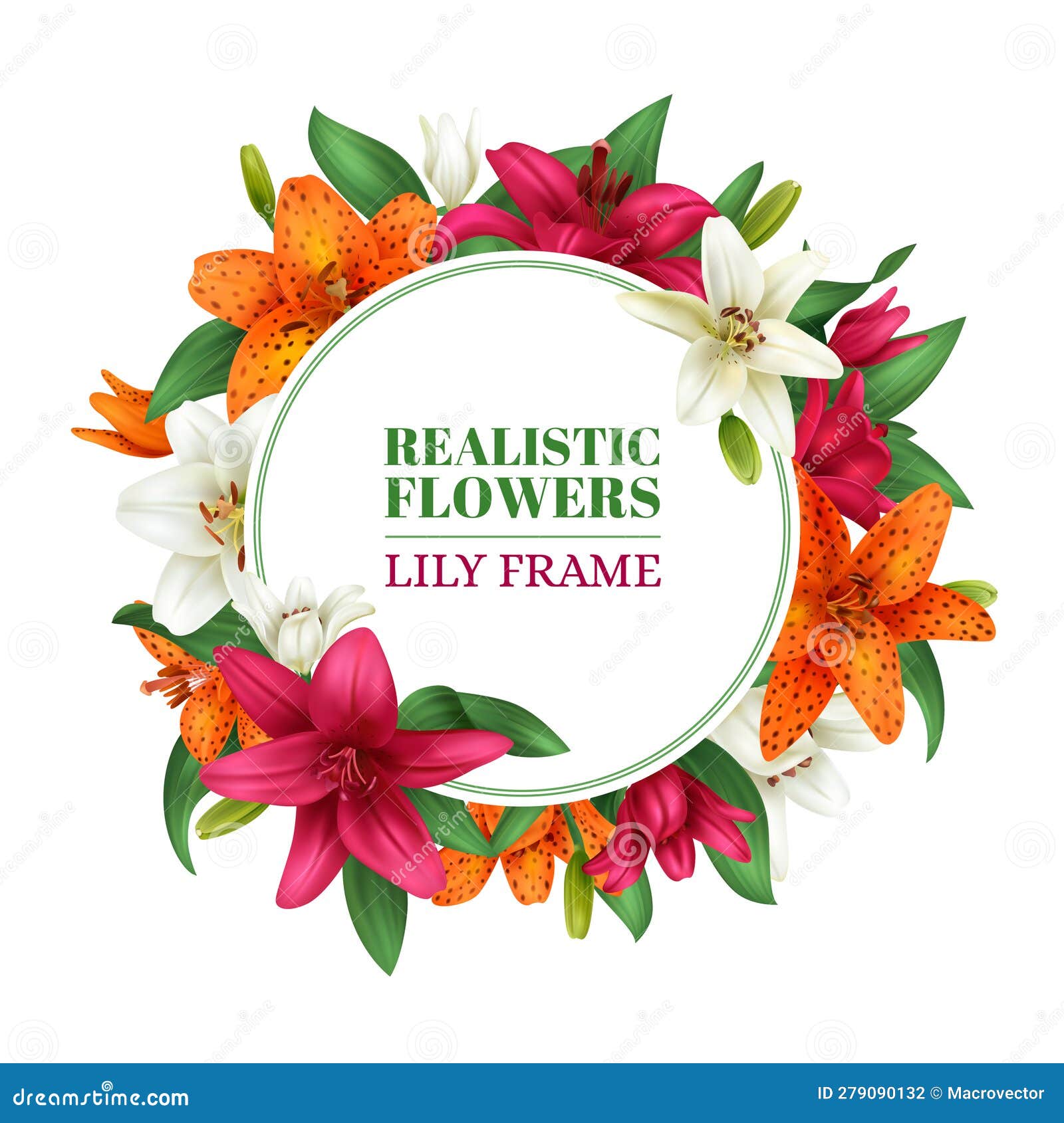 Realistic Lily Drawing, Realistic Lily Flower Sketch, Outline Realistic ...