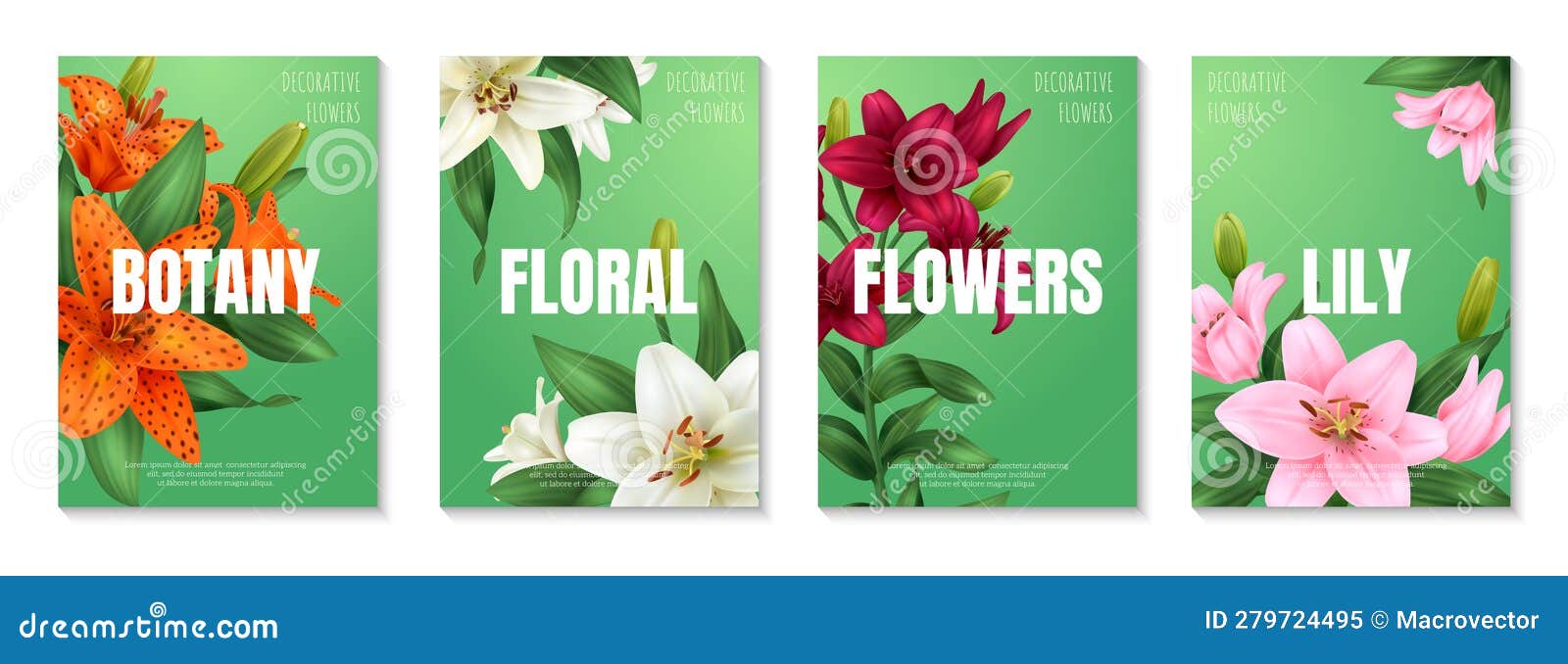 Realistic Lily Poster Set stock image. Image of element - 279724495