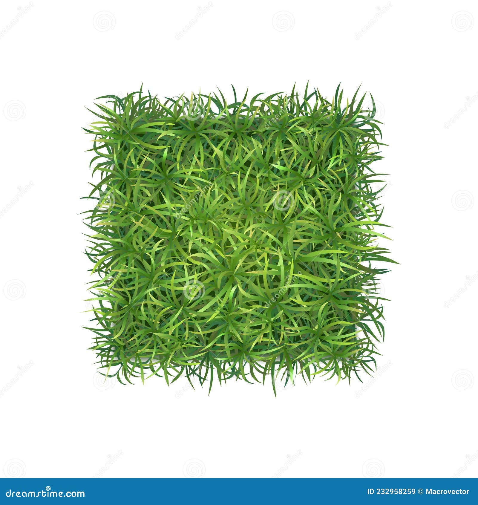 Realistic Long Grass Composition Stock Vector - Illustration of element ...