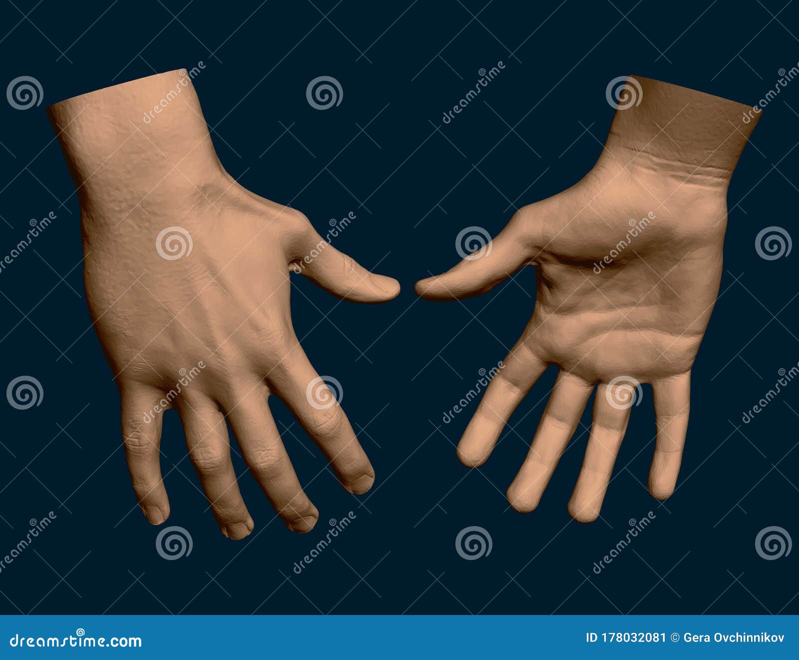 Realistic Male Hands. View of the Palm and the Back of the Hand. 3D ...