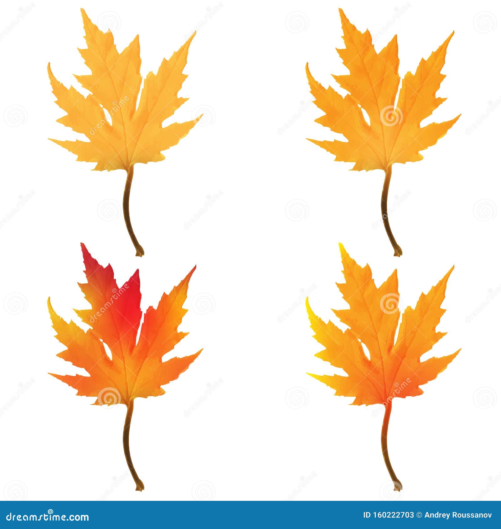 Realistic Maple Leaves Isolated on White Background Stock Vector ...