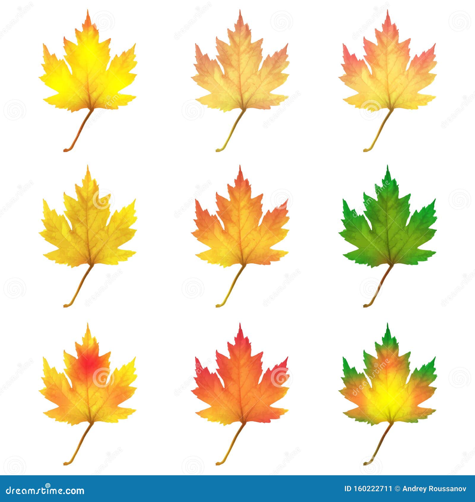 Realistic Maple Leaves Isolated on White Background Stock Vector ...