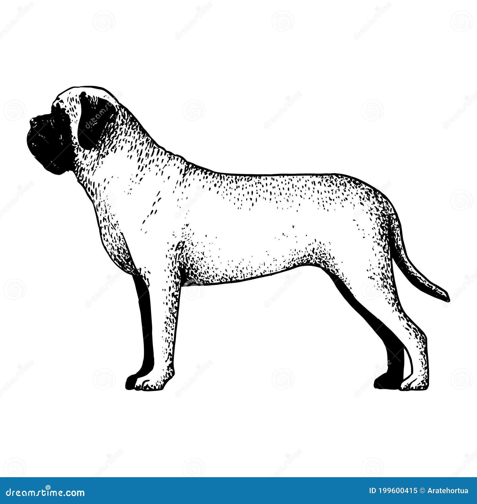 Realistic mastiff dog stock vector. Illustration of drawing - 199600415