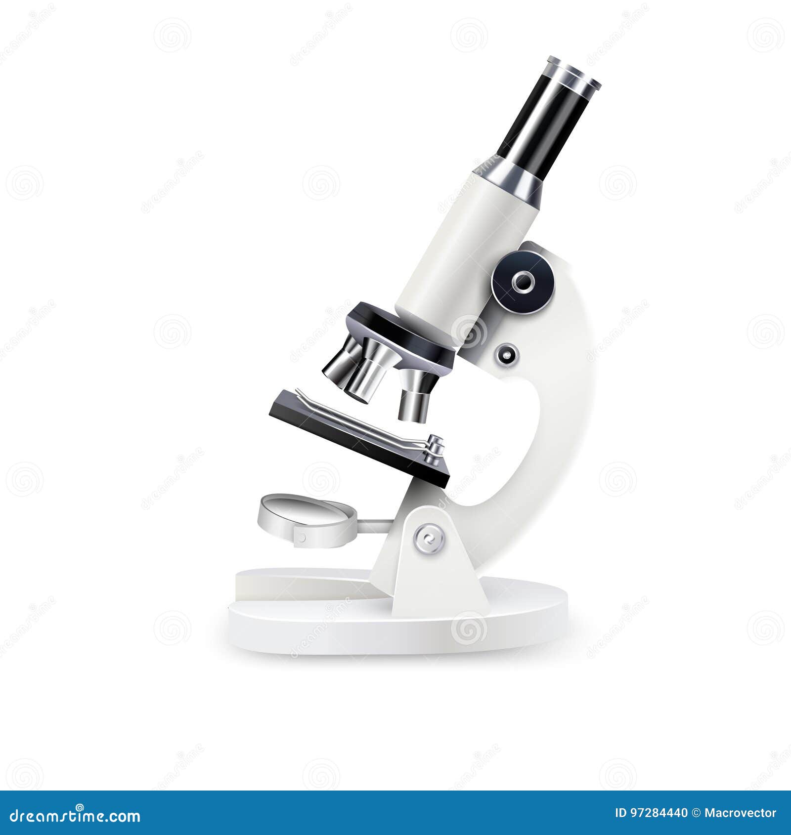 Realistic Microscope Parts Infographic Presentation Chart Vector ...